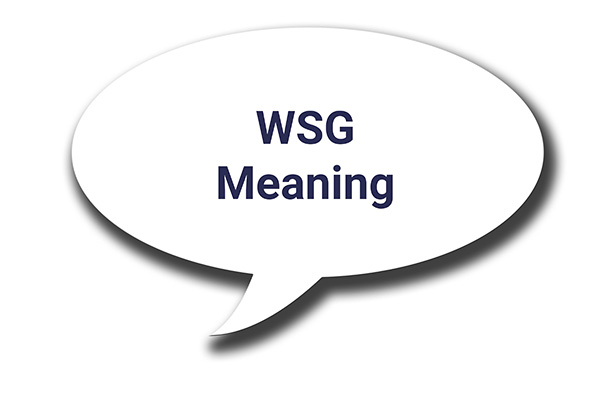 WSG Meaning: Unraveling the Secrets of Modern Slang
